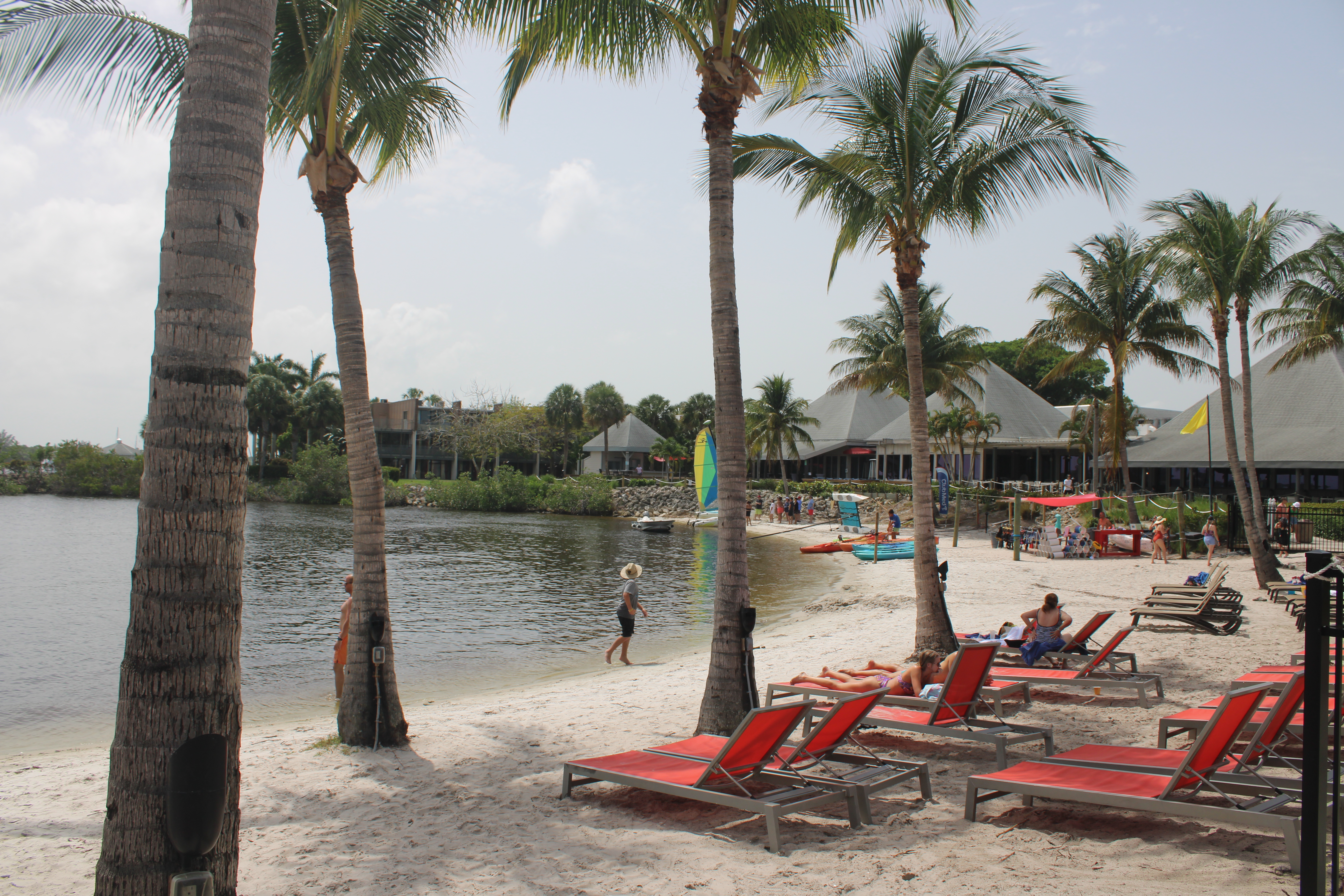 Fun in the Sun at Sandpiper Bay – jane sadek